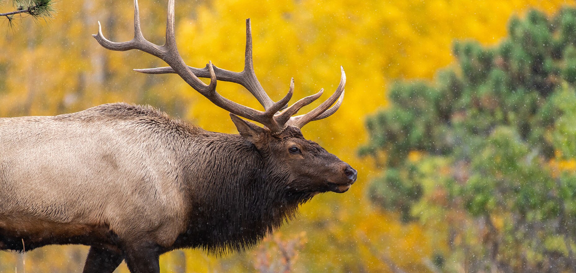 Guide to Fall in Colorado | Capital One