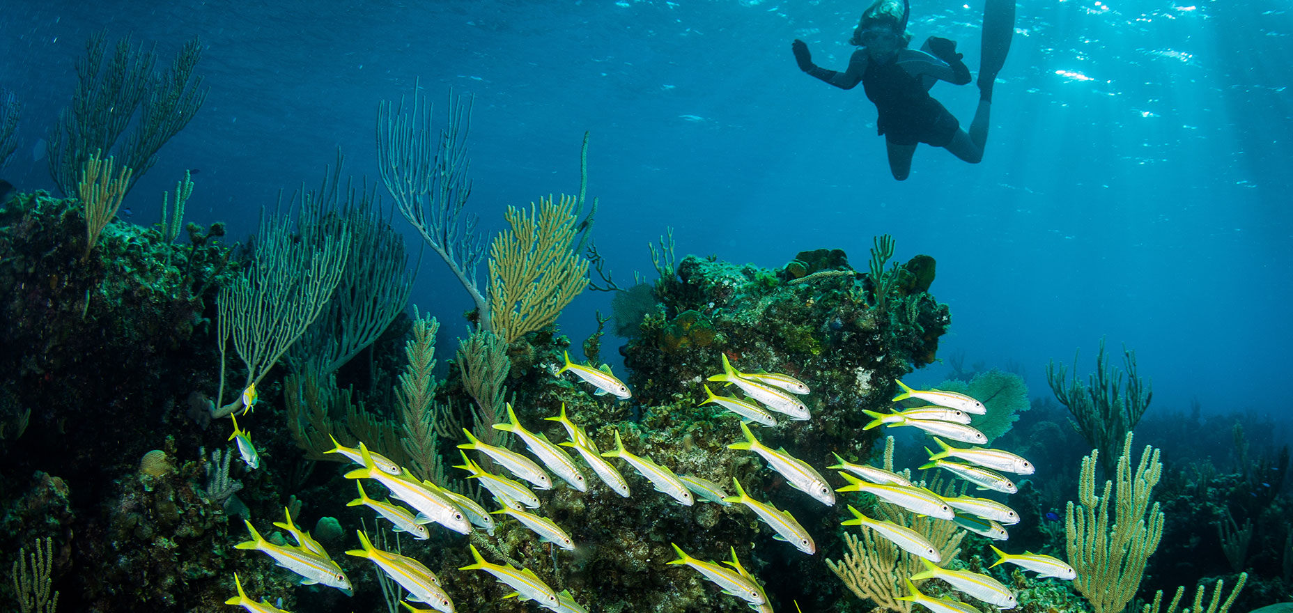 20 Best Spring Break Destinations for Students | Capital One