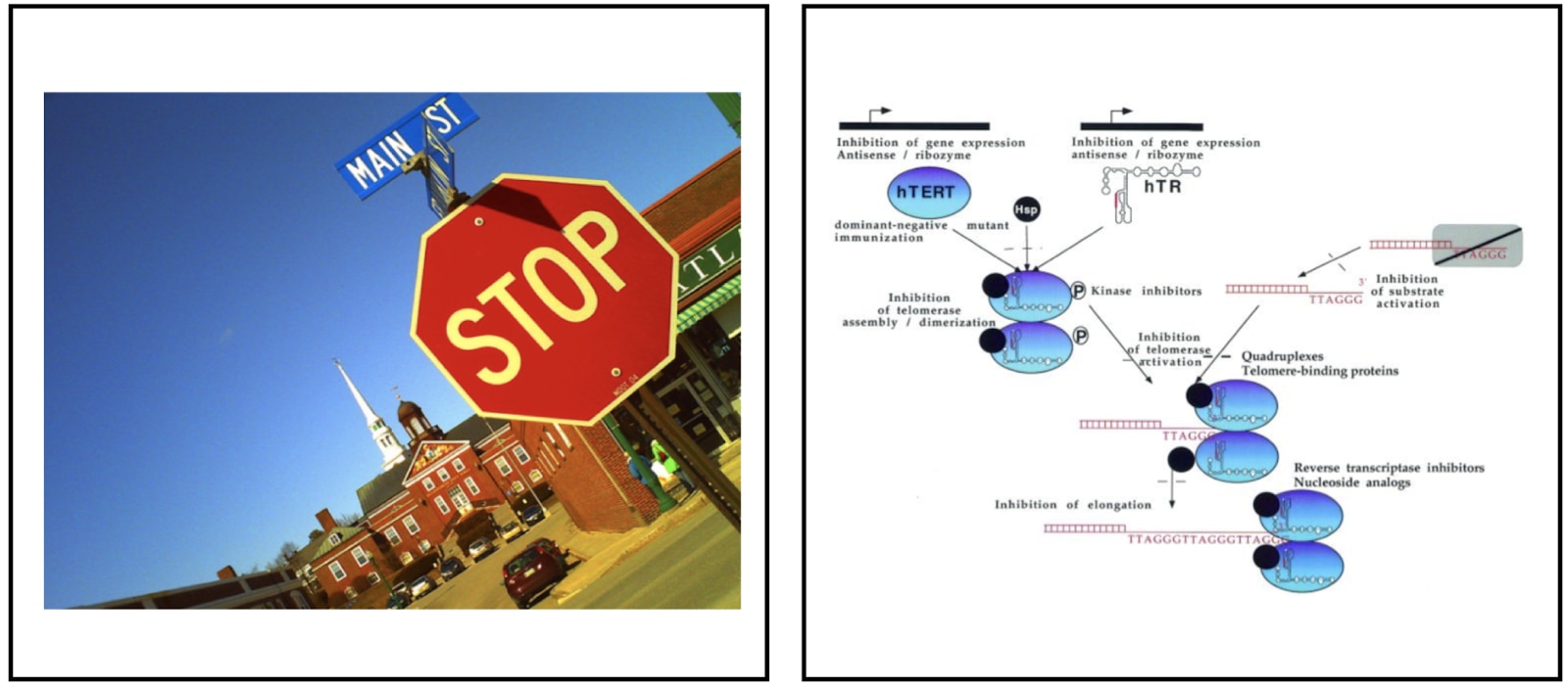 Computer Vision - Image Text Extractor | Capital One